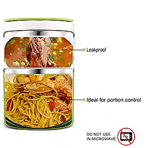 Lille Home Vacuum Insulated Stackable Stainless Steel Thermal Lunch/Snack box, 2-Tier Bento/Food Container with Lunch bag, Smart Diet, Weight Control, 32 Ounces