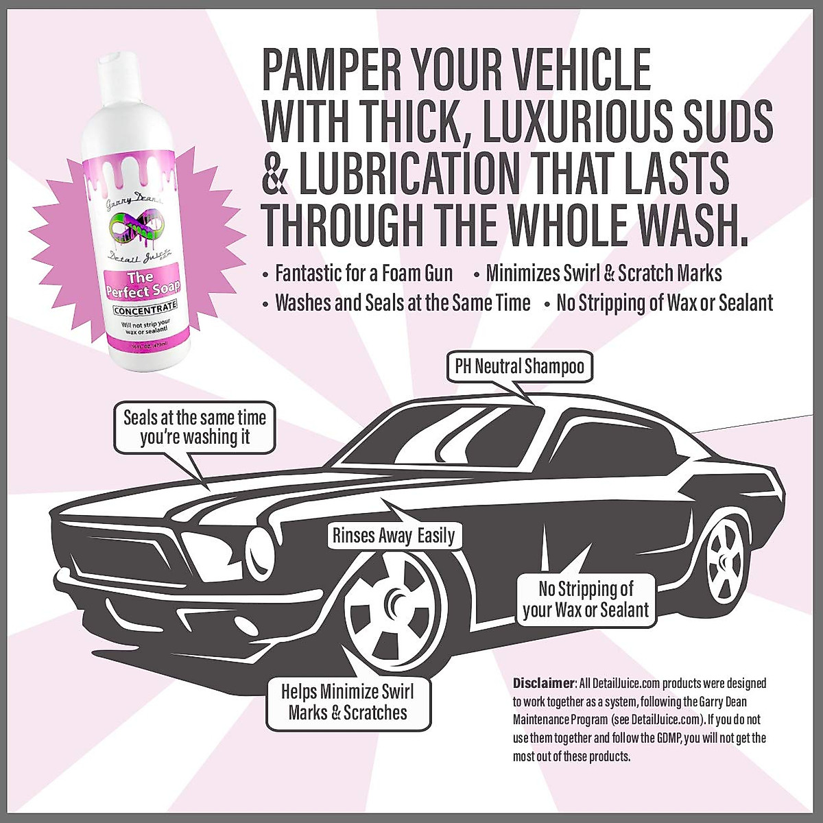 Garry Dean's Infinite The Perfect Soap Automotive Detailing Supplies PH Neutral Shampoo (8 fl oz)