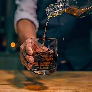 Whiskey Glasses set of 2 cocktail glasses bourbon glass Old Fashioned Glasses Gifts for holiday, Men,11 ounce