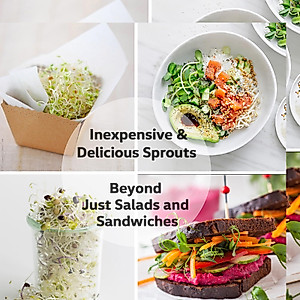 Complete Sprouting Jar Kit- 2 Wide Mouth Mason Jars with Premium 316 Stainless Steel Screen Lids, Blackout Sleeves,Tray, Stand - Seed Sprouter Set for Growing Broccoli, Alfalfa, Salad, Sandwich