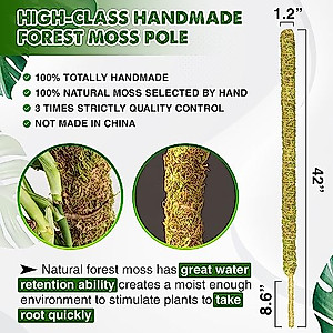 DUSPRO 42 Inch Tall Moss Pole for Plant Monstera Bendable Plant Stakes, Sphagnum Real Forest Moss Stick, Handmade Potted Plants Support/Trellis Perfect for Big Climbing Plants Indoor (Large Size)