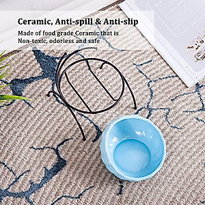 Jemirry Ceramic Elevated Cat Bowl Anti Vomiting, 15° Tilted Food and Water Cat Bowl Set, Raised Pet Bowl with Non-Slip Stand for Cat and Dog, Protect Pet's Spine, Microwave Dishwasher Safe, Sky Blue
