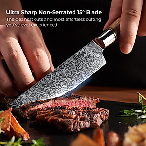 SENKEN 6-Piece Damascus Steel Steak Knife Set - Non-Serrated Steak Knives with Sycamore Wood Handles - The Dynasty Collection - 67-Layer Japanese VG10 Steel (6-Piece Steak Knife Set)