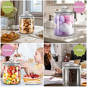 Masthome 1 Gallon Glass Jar with Lid,Large Glass Cookie Jar,Wide Mouth,Dishwasher Safe,Large Clear Jar,Storage Containers with Lids For Flour,Nuts,Cookies,Snacks-Send 15pcs Food Storage Bags