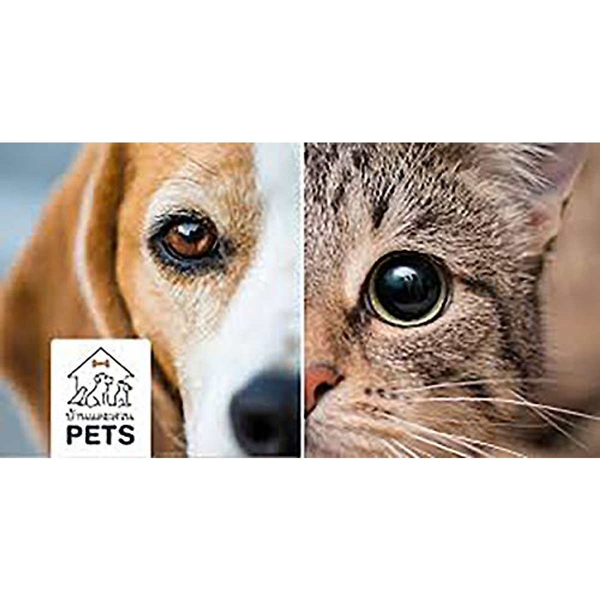 KARRYUNI X2 Pcs 10 ML, Best Pet Eye Drops Cataracts & People Exact Result, Safe & Gentle Formula, Promotes Eye Clarity & Dryness Eye in PPL Pets & All Animals Dogs, Cats Pet Care Eye Ointment Drops