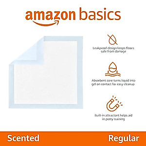 Amazon Basics Absorbent Puppy Pads for Potty Training and Incontinence, 5-Layer Leak-Proof Design, Quick-Dry Surface, Regular Size, 22 x 22 Inch, Scented, Pack of 100, Blue & White