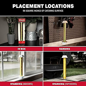 Catchmaster Gold Stick Fly Trap 4-Pk, Bug & Fruit Fly Traps for Indoors & Outdoors, Premium Adhesive Mosquito, Gnat, & Bug Catcher, Pheromone Baited Insect Killer, Pet Safe, Bulk Pest Control for Home