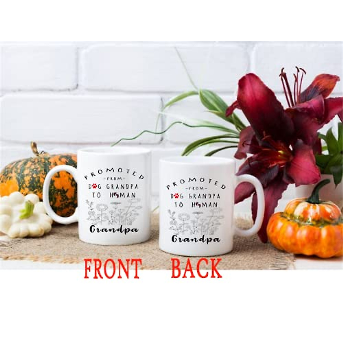 Qsavet New Baby Reveal Gift for Grandpa, Pregnancy Announcement Gifts for Great Grandpa, New Grandpa Gift Mug, Grandpa To Be Gifts, 11oz Coffee Mug Gifts for Grandpa from Daughter, Son (dog grandpa)