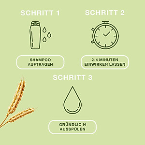 Bayer Priorin Shampoo Shampoo for Hair Loss Dry and Normal Hair 200ml/6.8oz