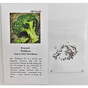 David's Garden Seeds Broccoli Waltham FBA-6339 (Green) 50 Non-GMO, Heirloom Seeds