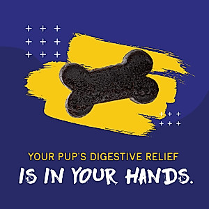 PupGrade 2-Pack Anxiety & Stress and Digestive Support Chews for Dogs - Natural Muscle Relaxant - Prebiotic and Probiotic Supplement with Enzyme Blend - 120 Chews Total