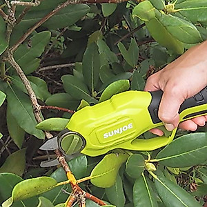 Sun Joe PJ3600C-RED Sun Joe Cordless Rechargeable Power Pruner, Red