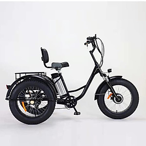 便利100 Outdoor 20'' Fat Tyre Electric Bicycle for Adult with 500W Motor, 48V Battery 3 Wheel E-Bike for Seniors Leisure Rides Front Rear Baskets, 7 Speed Farm Vegetables and Fruits Transport
