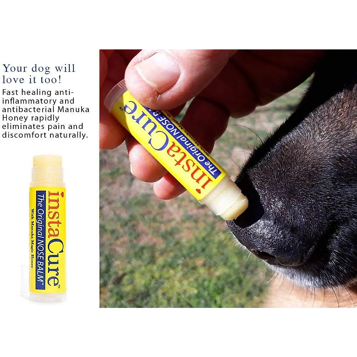 INSTACURE Original Nose Balm. Fast Relief for Cracked Dry & Sore Noses with Raw Manuka Honey Vitamin E Shea Butter Aloe Vera Oil. Heals Dog’s Dry Cracked Nose (1 Pack)