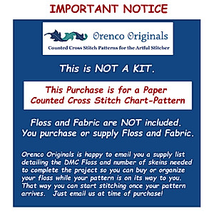 Orenco Originals Long Billed Hummingbird Detail 2 Gould Bird Counted Cross Stitch Pattern