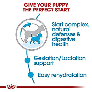 Royal Canin Size Health Nutrition Small Starter Mother And Babydog Dry Dog Food, 2 Lb