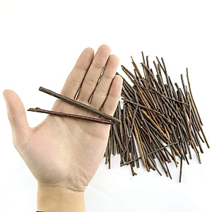 TKOnline 100Pcs 10cm 0.1-0.2 Inch in Diameter Wood Log Sticks for DIY Crafts Photo Props Craft Sticks,Wood Crafts,Sticks inch,Wood Sticks,Wood Craft Sticks,Photo Stick,Photo Props,Wood logs