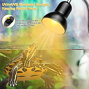 Reptile Heat Lamps, Turtle Lamp UVA/UVB Turtle Aquarium Tank Heating Lamps with Clamp, 360° Rotatable Basking Lamp for Lizard Turtle Snake Aquarium Aquatic Plants with 2 Heat Bulbs (E27,110V)