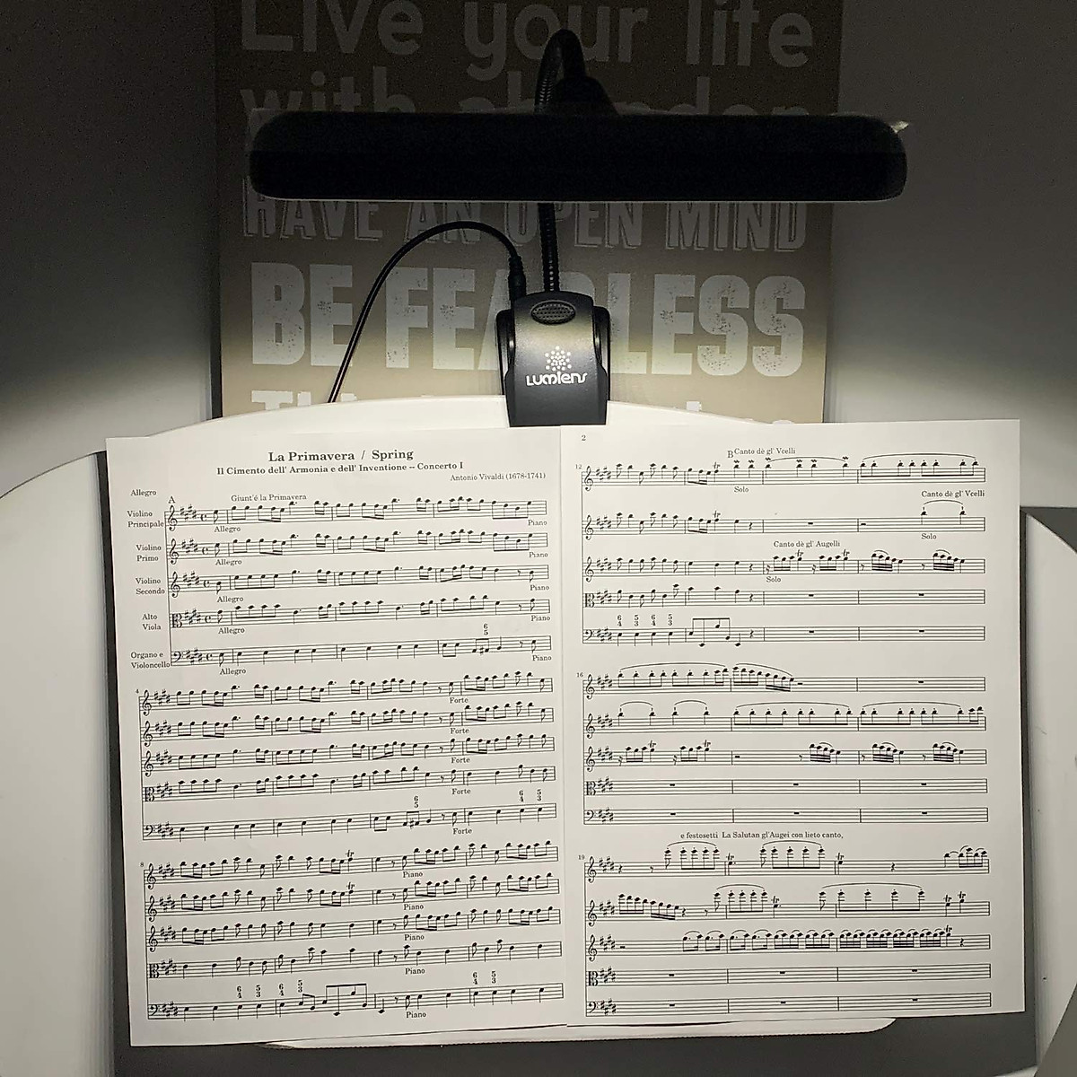 Lumiens L9 - Music Stand Light Clip On - LED Musician Lamp for All Music Stands, Pianos, Orchestra Pits, Work Tables, Desks, and More - #1 Among Music Stand Lights - AA Battery Powered