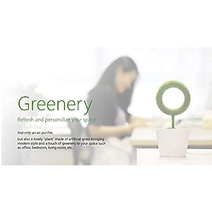 Rockwood Plant Air Purifier