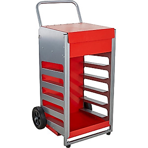 Longacre 52-72653 Computerscales DX3 Dual Load W/Cart