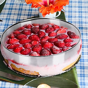 HANABASS Biscuit Cutter Metal Cookie Cutters 10inch Stainless Steel Muffin Rings, Pizza Ring, Round Egg Pancake Rings, Kitchen Baking Tools for Biscuits Donuts Making Cake Cutter Pastry Cutter