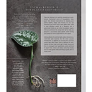 Houseplant Oasis: A Guide to Caring for Your Plants + Styling Them in Your Home