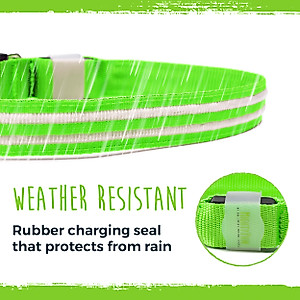 Mighty Paw LED Dog Collar - USB LED Rechargeable - USB Rechargeable Light - High Visibility Glow Strips - Glow Pet Weather Resistant - Enhanced Nighttime Visibility - Light Up Dog Collar - (L, Green)