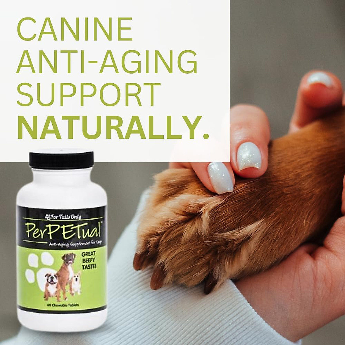 Youngevity Perpetual™ - Maximum Strength Anti-Aging Dog Bone & Joint Support - with Glucosamine, Choline, MSM, Milk Thistle, Calcium, Turmeric & More - 60 Chewable Tablets