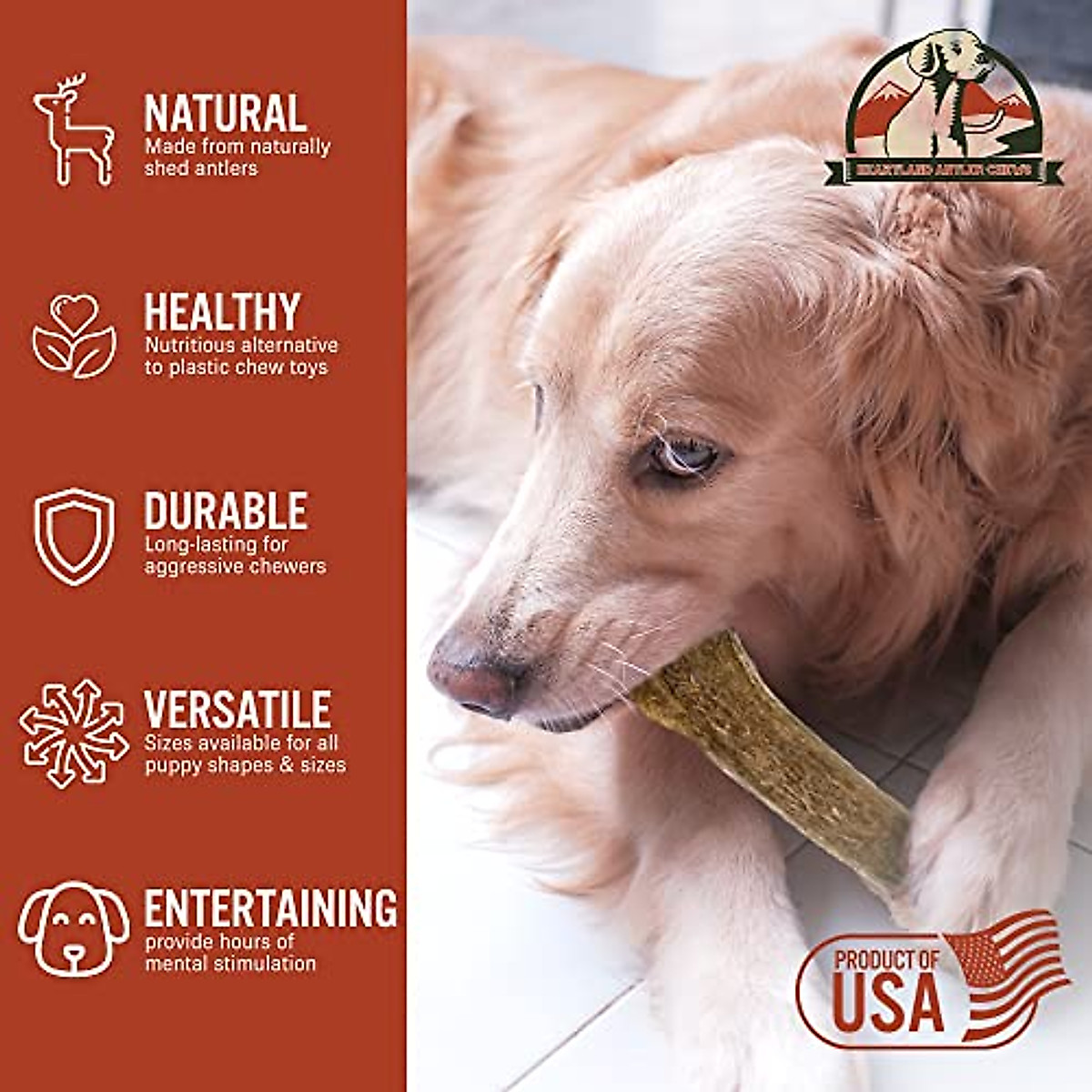 Elk Antlers for Dogs - Grade A, Naturally Shed Antlers | Long Lasting Dog Bones for Aggressive Chewers & Teething Puppies | All Breeds Chew Toy USA Made & Veteran Owned | Large: 7" Whole Elk, 1-Pack