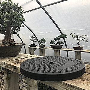 Mighty Mini Bonsai Tree Turntable 12.5" Base Stainless Steel Ball Bearings. Low Cost 200-Pound Capacity 360-Degree Rotation Allows Easy Pruning Or Great Bonsai Tree Displays