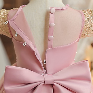 NNJXD Baby Girl Birthday Tutu Gown Pageant Party Wedding Dress 2035 Light Pink Size(90) 12-18 Months