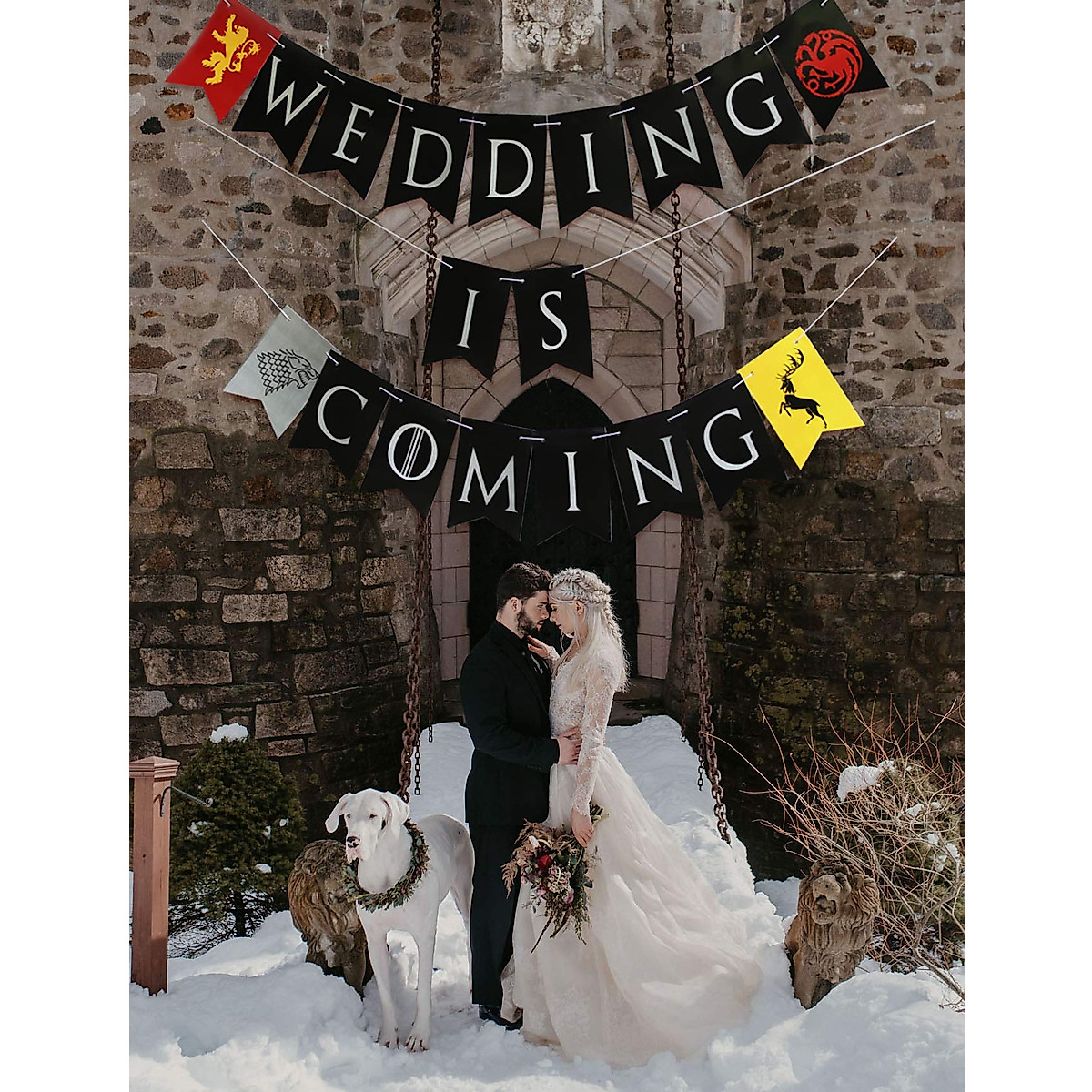 Ideas from Boston-Game of throne Banner, Winter is coming here game of thrones party decorations, Wedding is coming marriage cutouts, GOT banners and flags