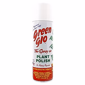 Green Glo Plant Polish 13 oz (20 fl ounces)