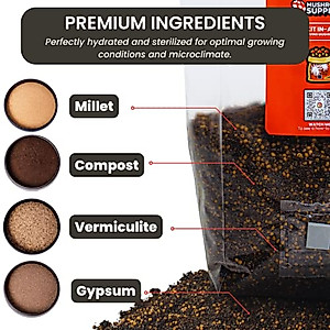 MushroomSupplies.com All in ONE Mushroom Grow Kit in-a-Bag (3 LBS) | Mushroom Grow Bag with Sterilized Grain and Substrate | Easy Grow Your Own Mushrooms