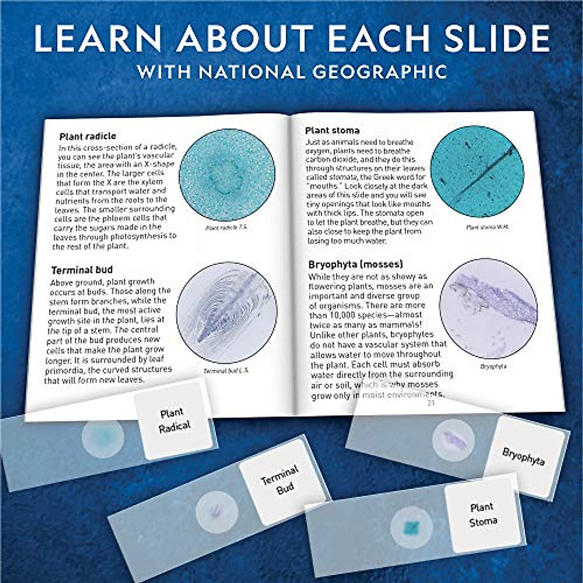 NATIONAL GEOGRAPHIC Mega Biology Set -8 years and up, Professional Grade Specimens, 25 Prepared Microscope Slides, Detailed Learning Guide and Storage Box,