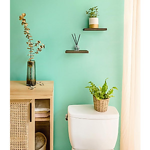 Mkono Floating Shelves, Set of 2 Rustic Wood Wall Mounted Shelves with Invisible Brackets Plant Photo Display Ledges Shelves for Wall Decor, Modern Storage Shelves for Bathroom Living Room Bedroom