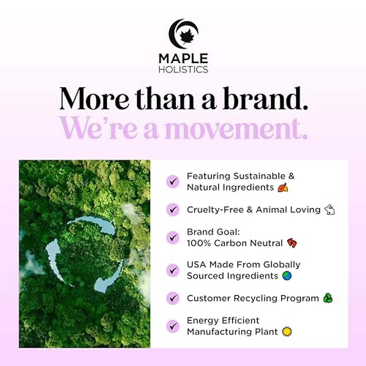 Maple Holistics Sage Shampoo for Dandruff, Oily Hair and Flaky Scalp, 10 OZ - Sulfate Free Volumizing Shampoo with Natural Ingredients, Essential Oil for Men and Women