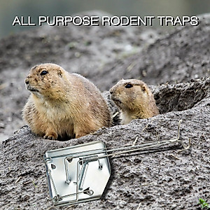 Qualirey 4 Pack Mole Trap Gopher Trap Ground Galvanized and Oil Hardened Steel Animal Trap Reusable Gopher Trap Vole Traps for Outdoor Lawn Garden Yard Farm (Silver)