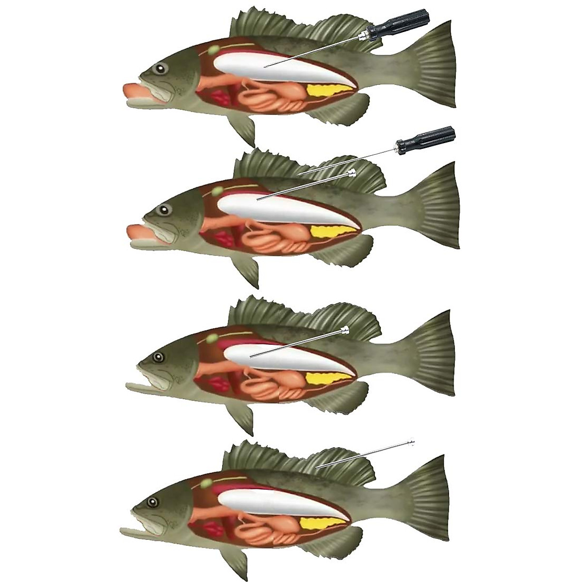 YANDIA Fish Venting Tool Three Sizes of Stainless Steel Needle with Plastic Storage Bin （Fish Will Not Clog The Needle）