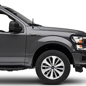 ONE250 Bullet Style Antenna, Compatible with Dodge RAM (RAM 1500, RAM 2500 or RAM 3500 1994-2024) & Ford F-Series (F-150 F-250 F-350 Super Duty Ford Raptor Ranger Trucks 1997-2024) (Black)