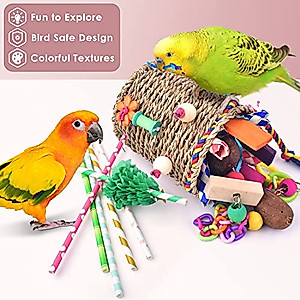 KATUMO Bird Foraging Toys, Seagrass Basket Bird Toy with Array of Chewable Parrot Toys for Small Medium Parrot Birds