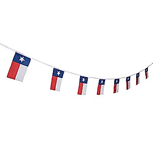 TSMD Texas State Flag Banner,100 Feet Small Mini Texas TX Lone Star Pennant Banner Flags String,Party Decorations Supplies For Bar,School Sports Event,International Festival Celebration