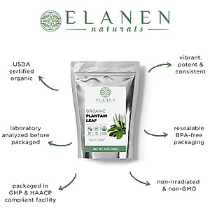 Organic Plantain Leaf 4 oz. (113g), USDA Certified Organic Dried Broadleaf Plantain Leaf Tea, Organic Plantain Herb, Dried Plaintain Herb, Cut & Sifted