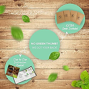 Indoor Herb Garden Starter Kit - DIY Kits for Adults - 4 Herb Seeds Growing Kit - Crafts for Adults - Home Seed Starter Grow Plant Kit - Craft Kits for Adults - Basil, Parsley, Cilantro, Chives