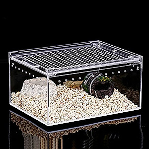 NANEEZOO Magnetic Acrylic Reptile Case - 8"x6"x4" Flat Long Enclosure Transparent Reptile Breeding Box Terrarium Cage - for Tarantula Scorpion Sling Isopods Invertebrates & Insect Mantis
