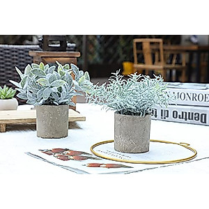 Miracliy Mini Potted Fake Plants Faux Artificial Eucalyptus Boxwood Rosemary Greenery in Gray Pots for Home Office Desk Bathroom Decoration Garden Decor, Indoor & Outdoor,Set of 4