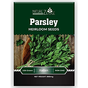 5 Herb Seeds Variety Kit, Oregano, Cilantro, Parsley, Basil, Chives