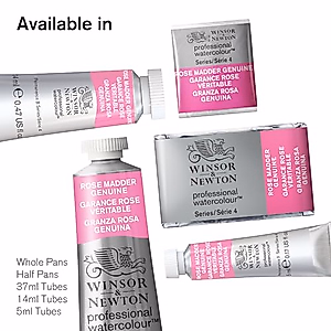 Winsor & Newton Professional Watercolor, 14ml (0.47-oz) Tube, Payne's Gray