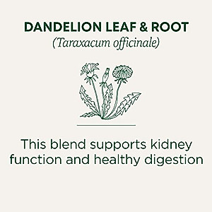 Traditional Medicinals Tea, Organic Dandelion Leaf & Root, Supports Kidney Function & Healthy Digestion, 16 Tea Bags